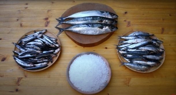 ᐅ Garum receta - Salsa romana - ¿Qué es Garum?