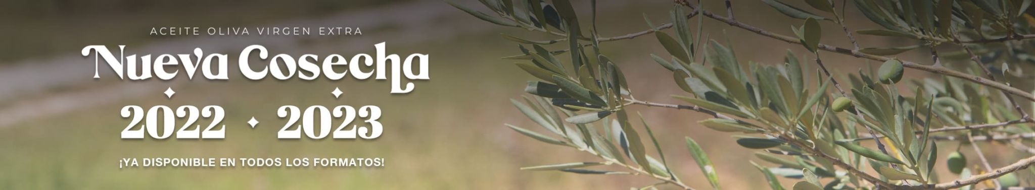 Oleopalma especialistas en la producción de Aceite de Oliva